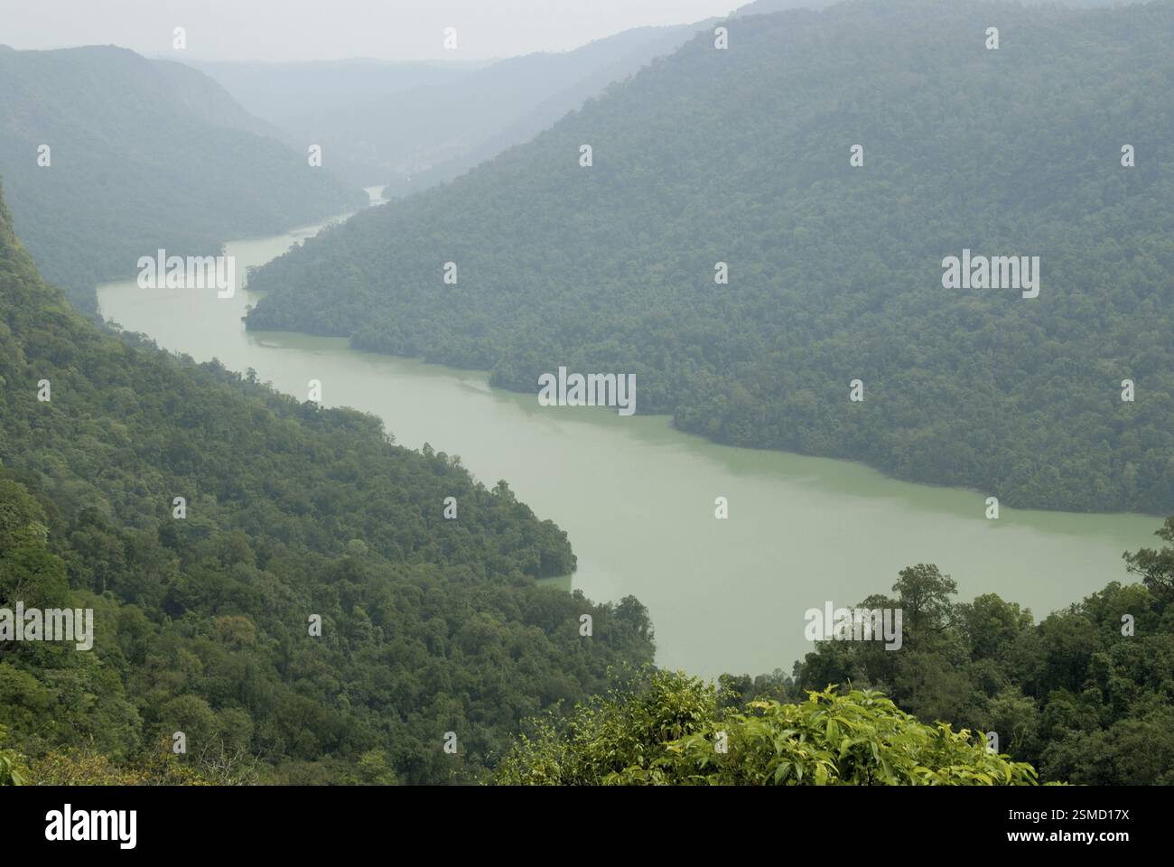 Aerial view of Sharavati river, District north Kanara, Karnataka, India ...