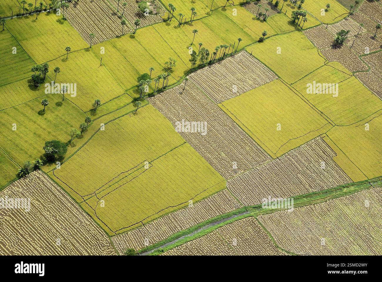 Aerial view of field, Andhra Pradesh, India, Asia Stock Photo - Alamy