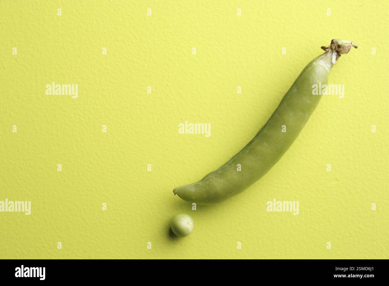 Vegetable, one Green Pea pod Pisum sativum with unpeel pea arranged as hockey stick and boll on ...