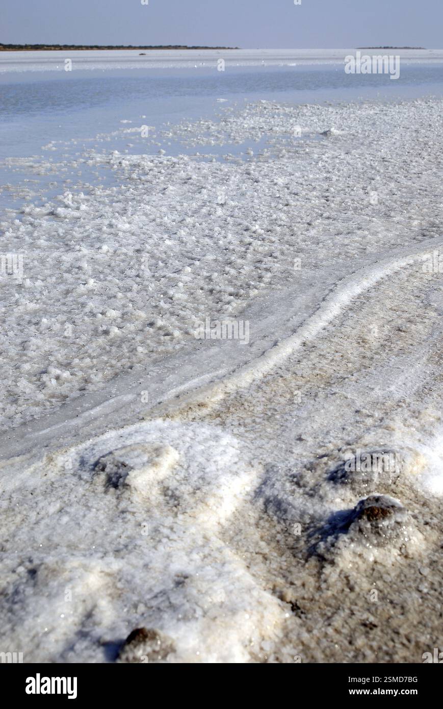 Salt residue, Great Rann of Kutch, Kutch, Gujarat, India, Asia Stock ...