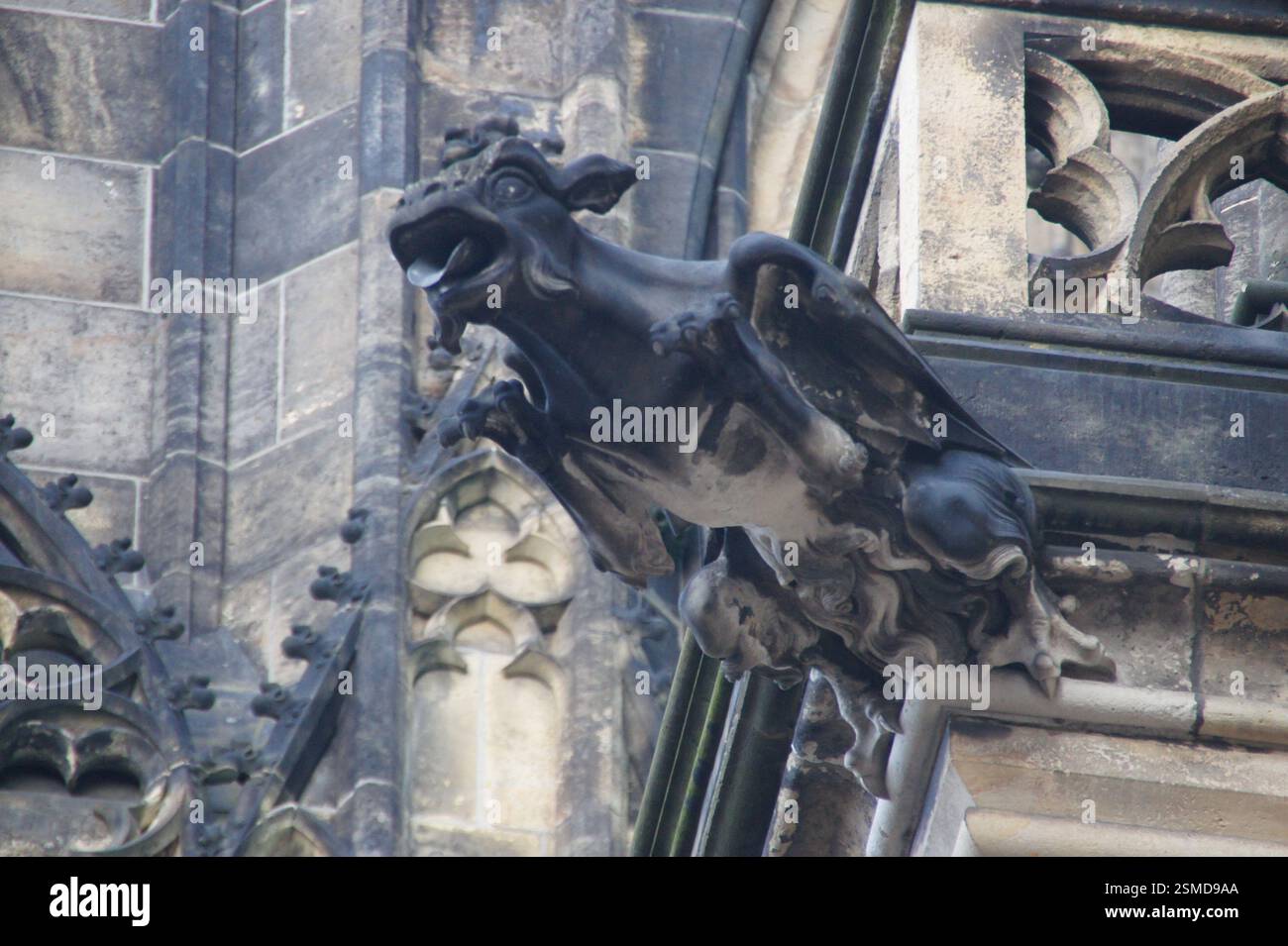 Gothic gargoyle with open mouth and outstretched wings. Stone sculpture ...