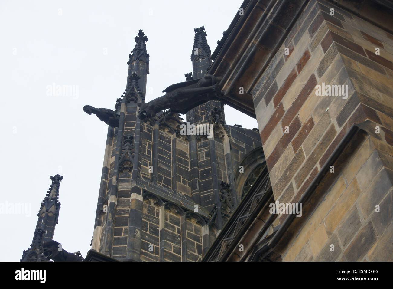 Gothic architecture gargoyle on St. Vitus Cathedral, Prague. Stone ...