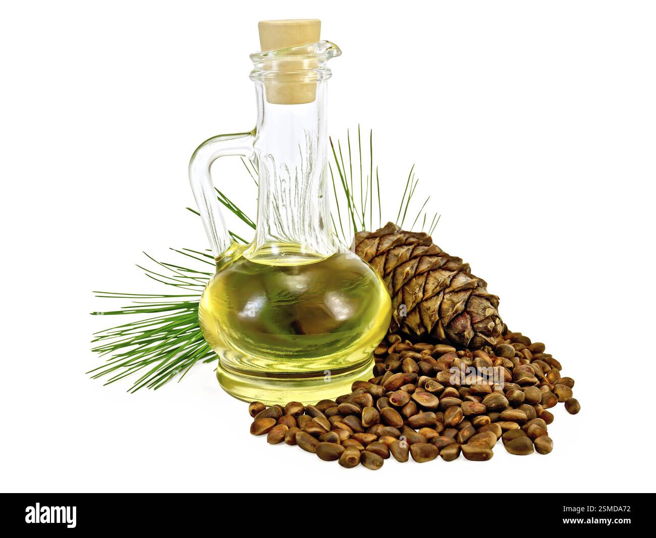 Cedar oil in a glass bottle, a sprig of cedar with cedar cones, cedar ...