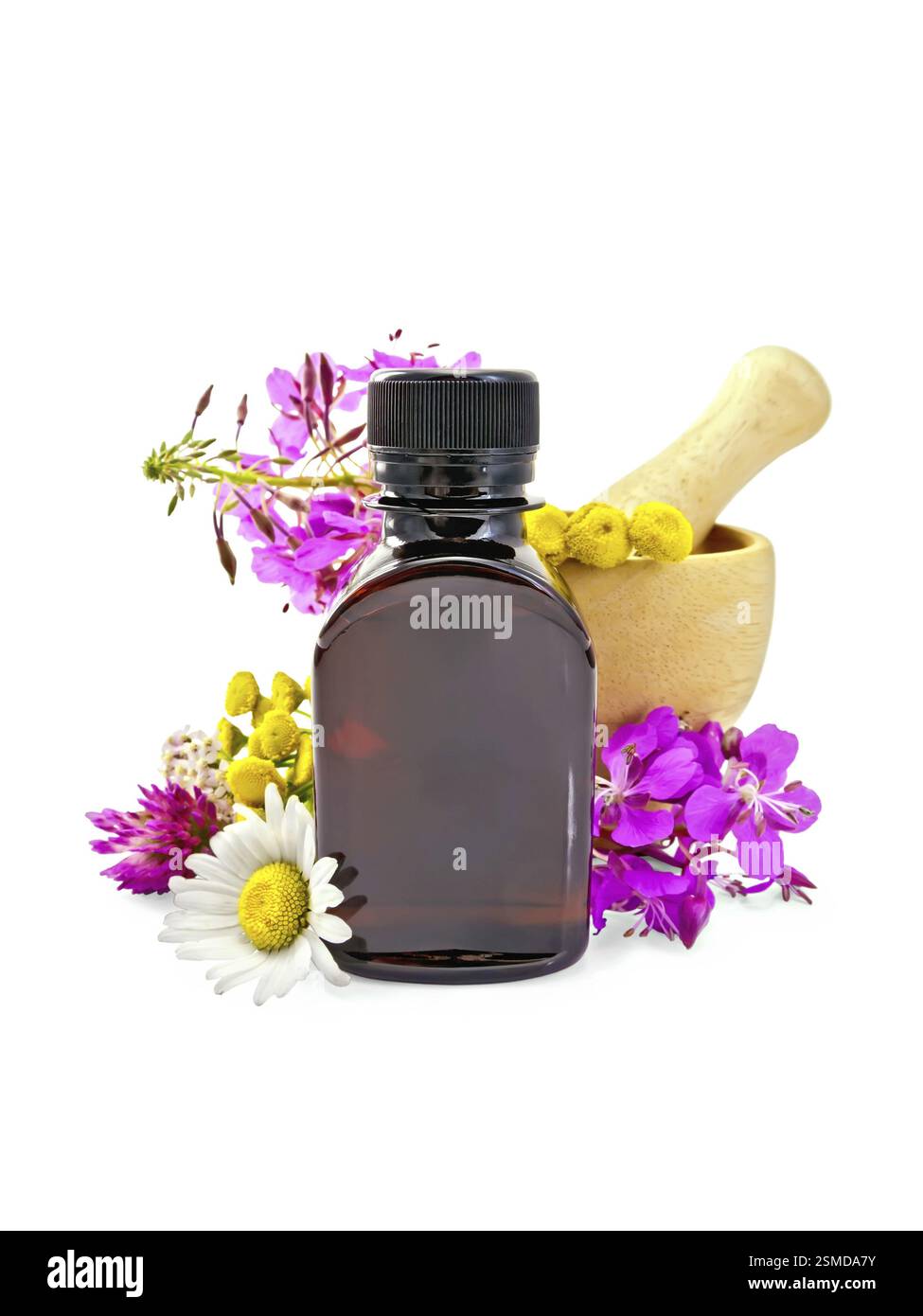 Dark blooms on Cut Out Stock Images & Pictures - Alamy