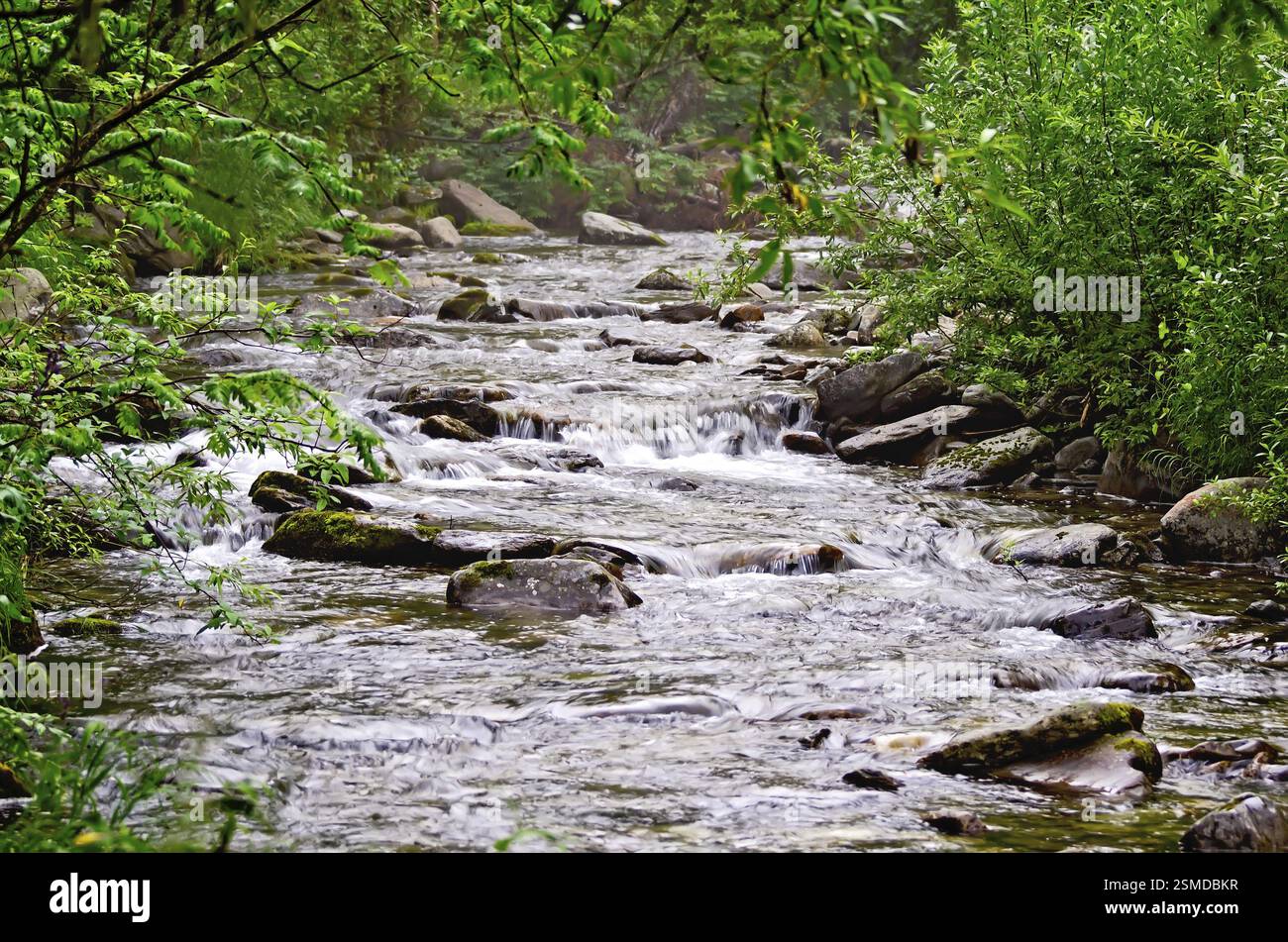 Stormy mountain river Zhigalan on the ridge Kvarkush on the north of ...