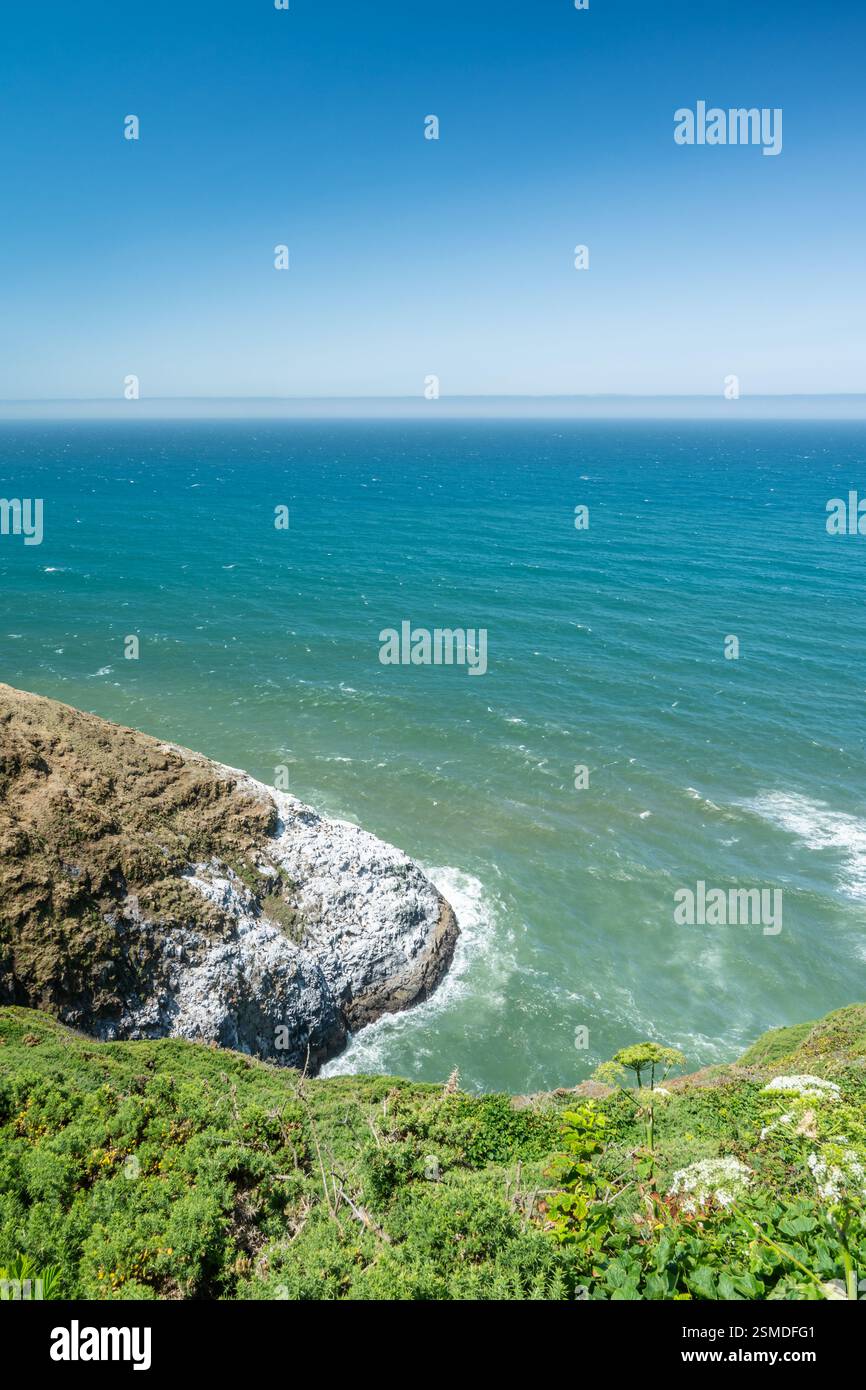 Oregon coastline along Highway 101 Stock Photo - Alamy