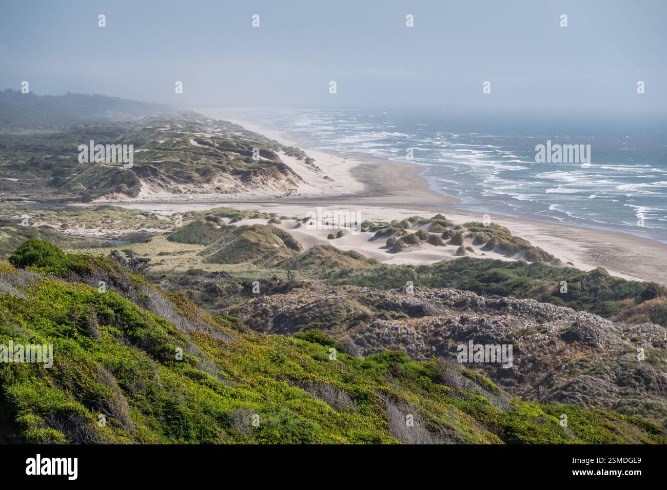 Oregon coastline along Highway 101 Stock Photo - Alamy