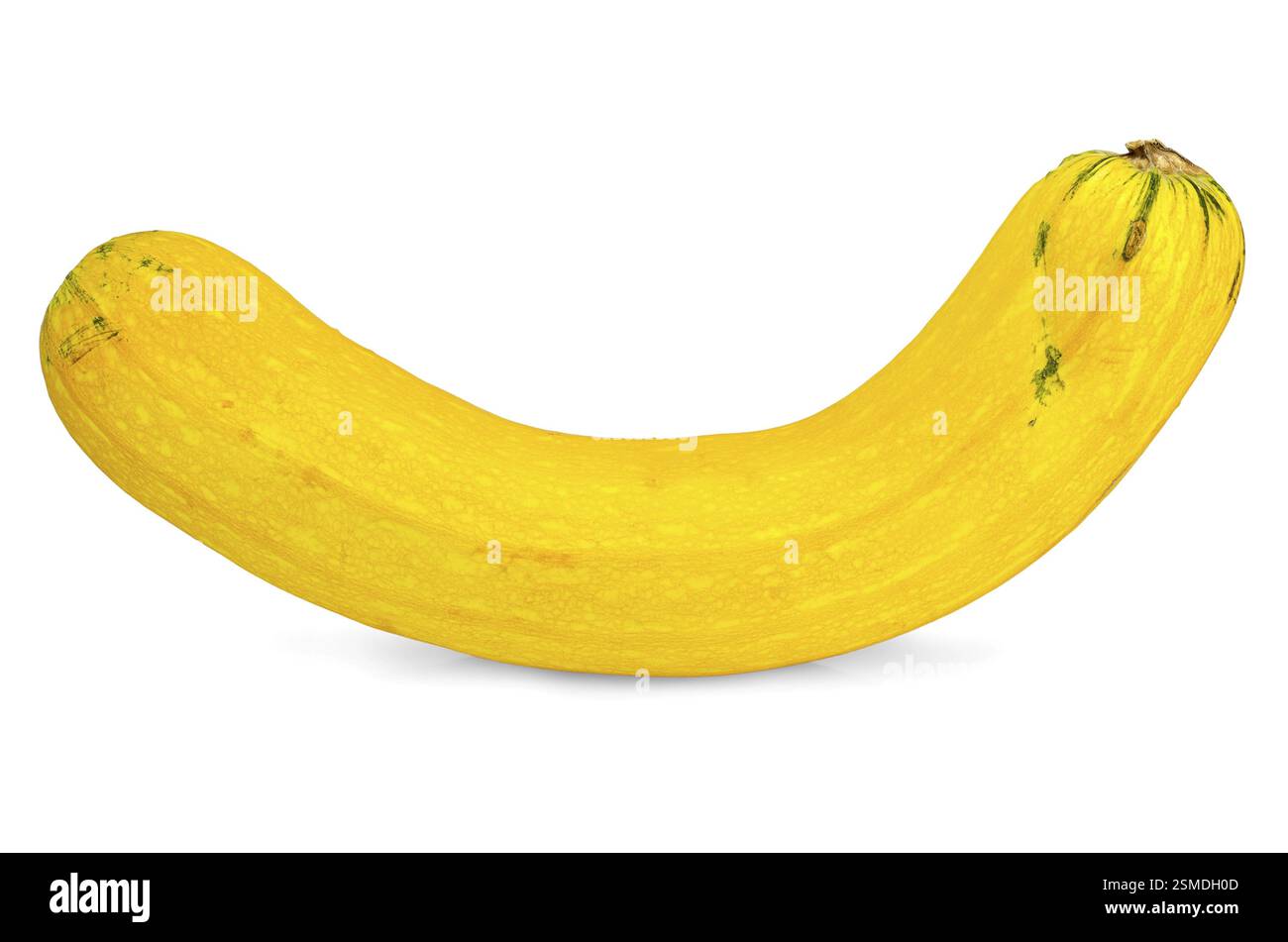 Large yellow zucchini isolated on white background Stock Photo - Alamy