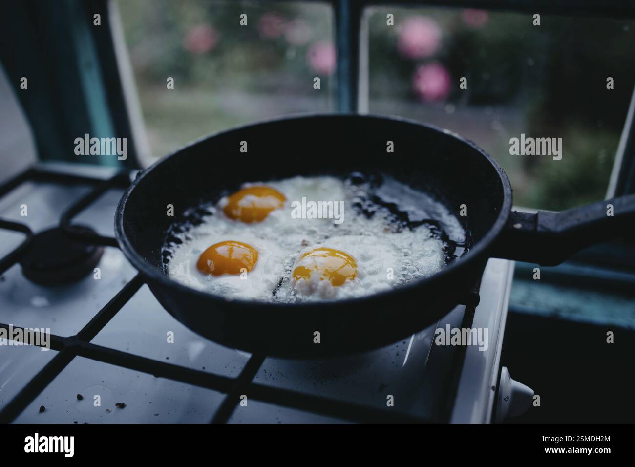 Frying pan on stove with eggs cooking near a window showing a garden ...
