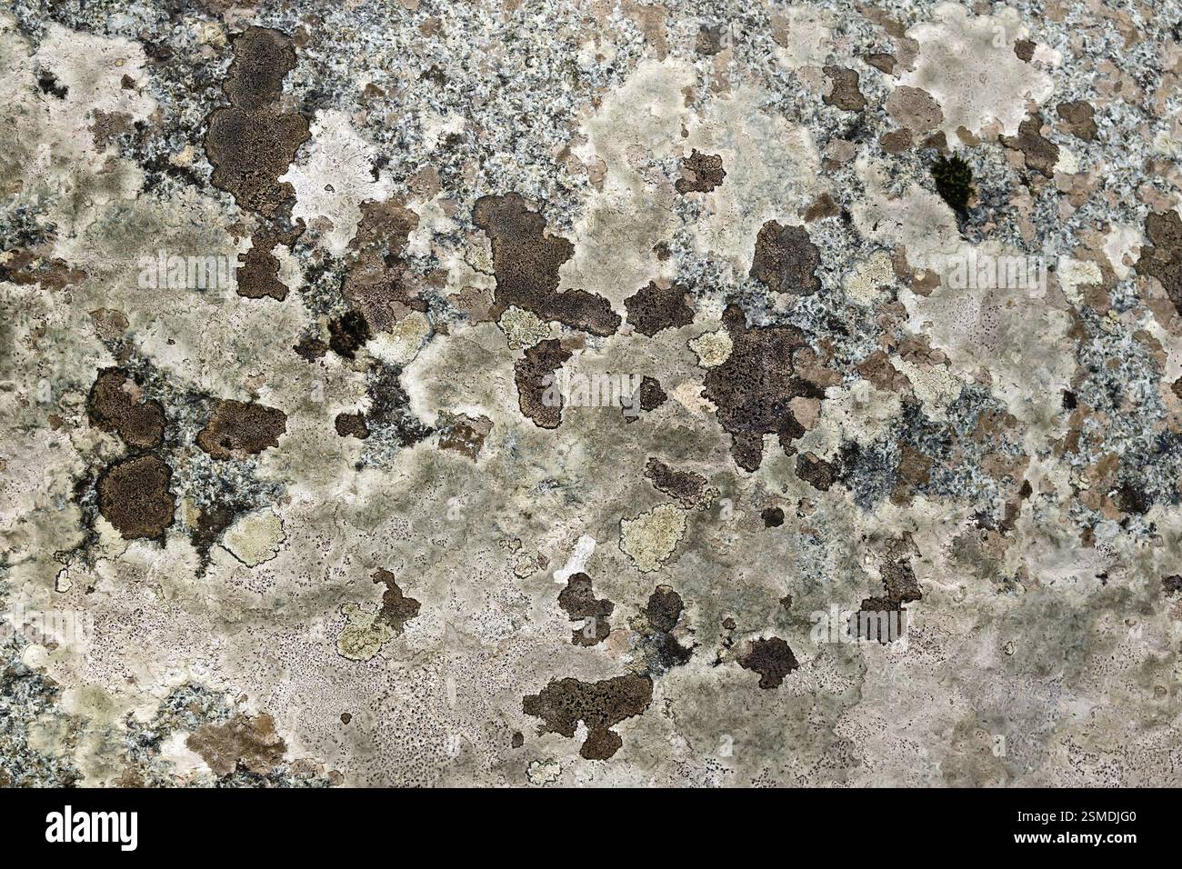The texture of natural brown-spotted pink granite stone with patches of ...