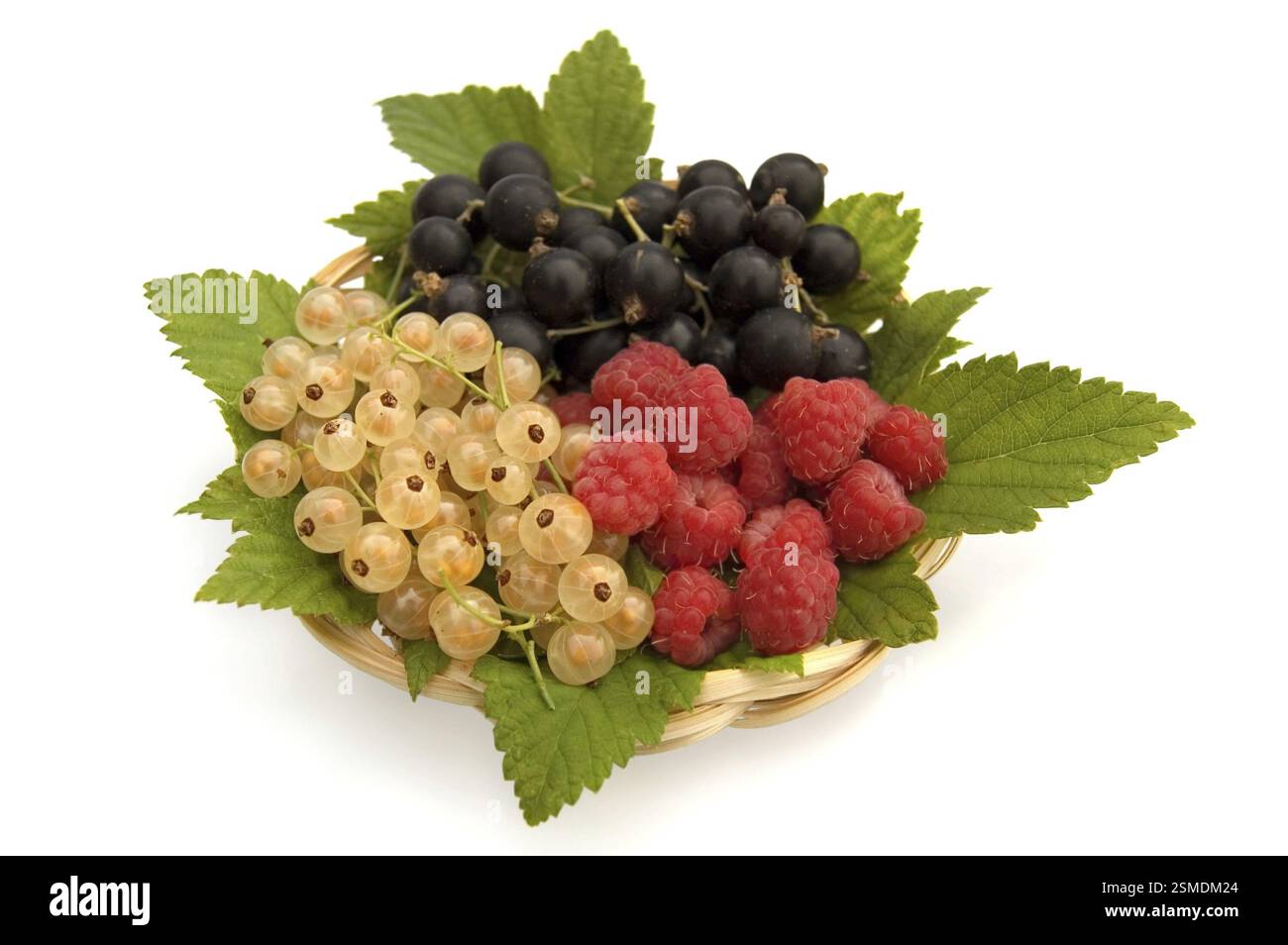White and Black currant, red raspberry, currant, green leaves in a ...