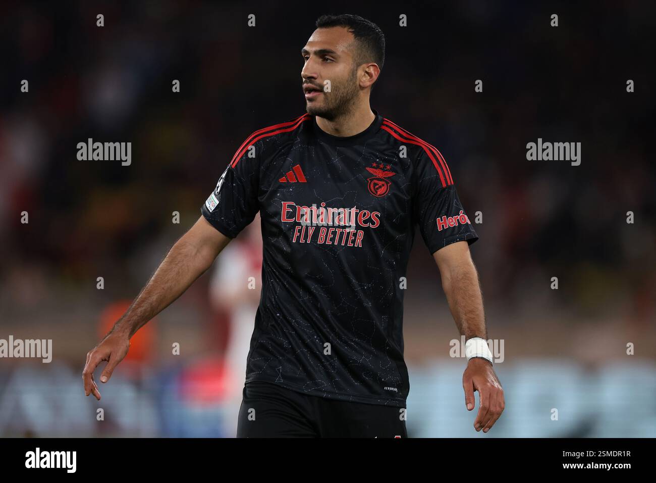 Monaco, Monaco. 12th Feb, 2025. Vangelis Pavlidis of SL Benfica reacts ...