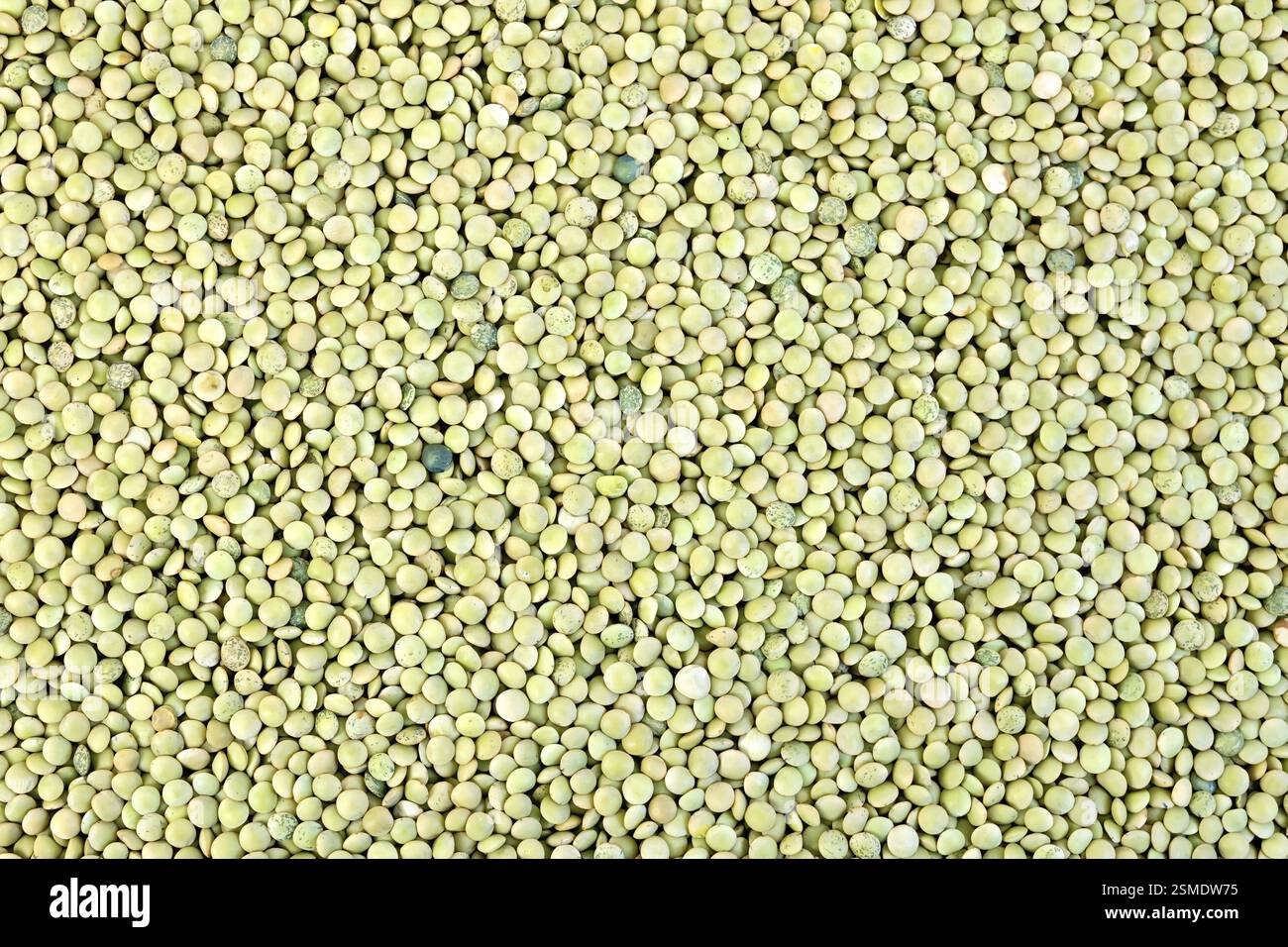 The texture of the grain green lentils Stock Photo - Alamy