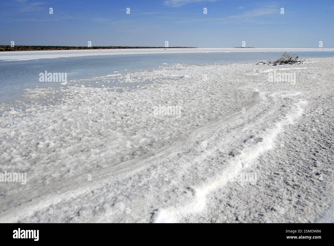 Salt residue, Great Rann of Kutch, Kutch, Gujarat, India, Asia Stock ...