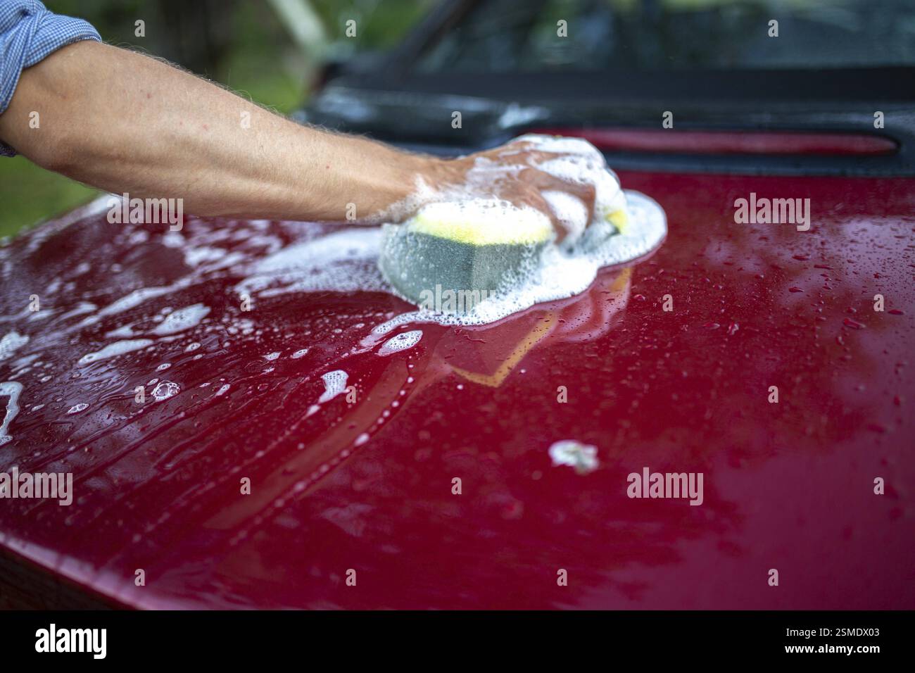 A person cleaning a red car with a sponge, creating soapy suds Stock ...