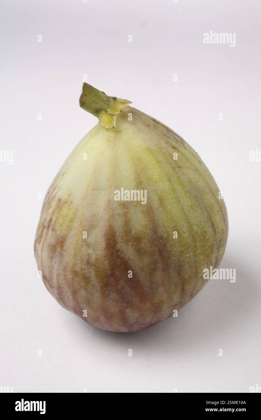 Fruit, Fig Ficus Carica Anjir on white background Stock Photo - Alamy