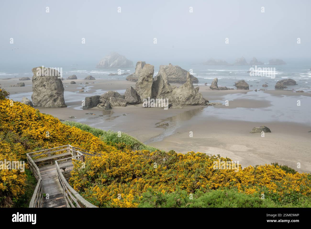 Bandon Oregon Beach with sea stacks and gorse Stock Photo - Alamy