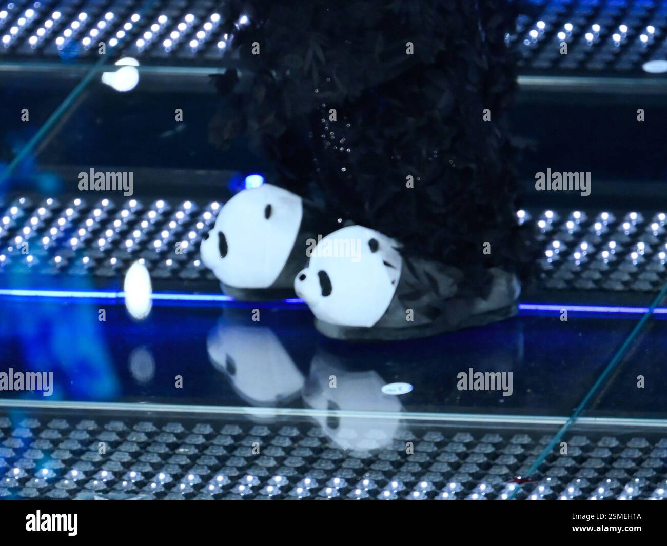 Sanremo, 75th Italian Song Festival 2025 - Second Evening. In the photo ...