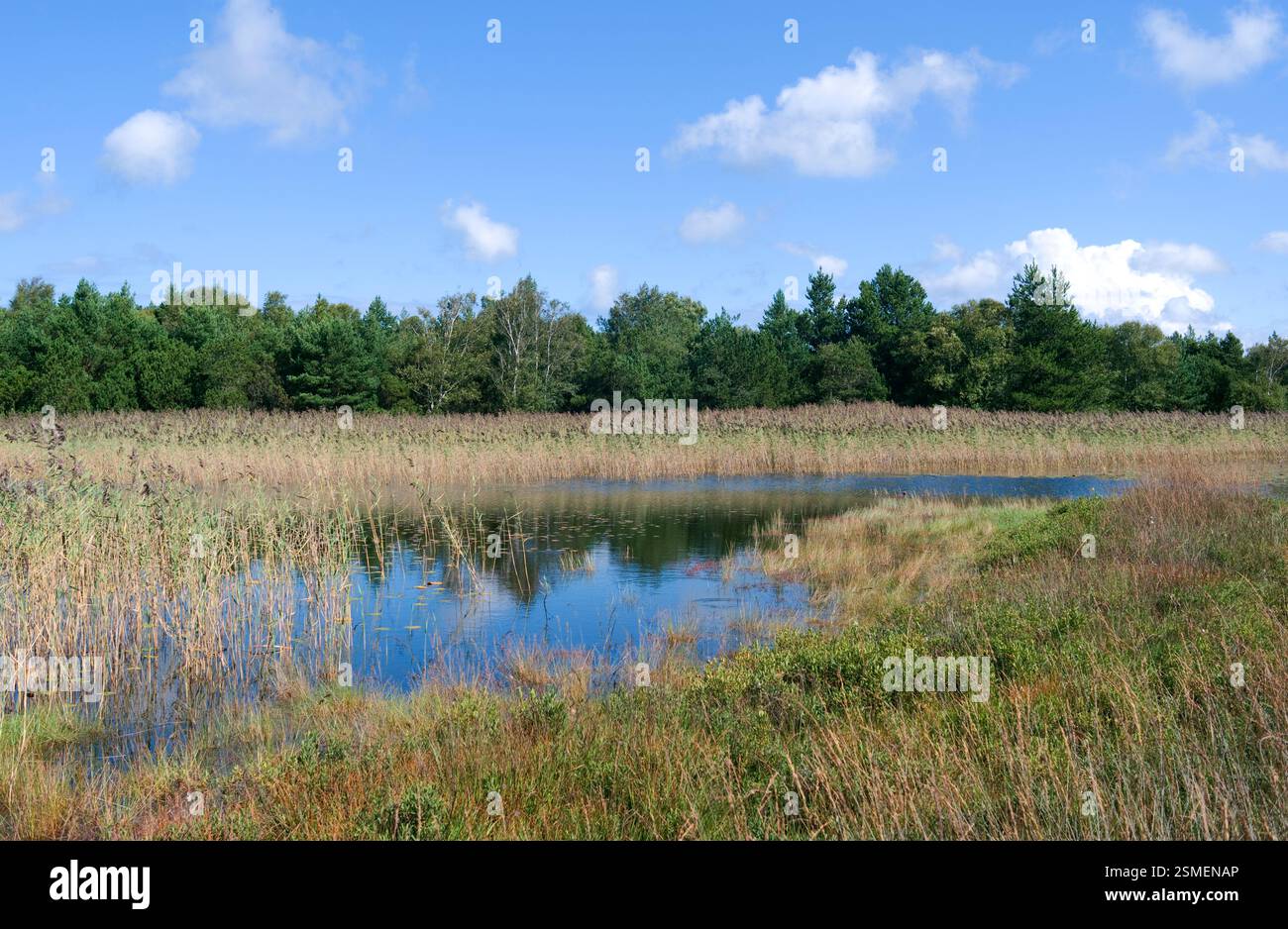 Laesoe, Denmark: View over Kaerene moorland with Birkemose moor lake ...