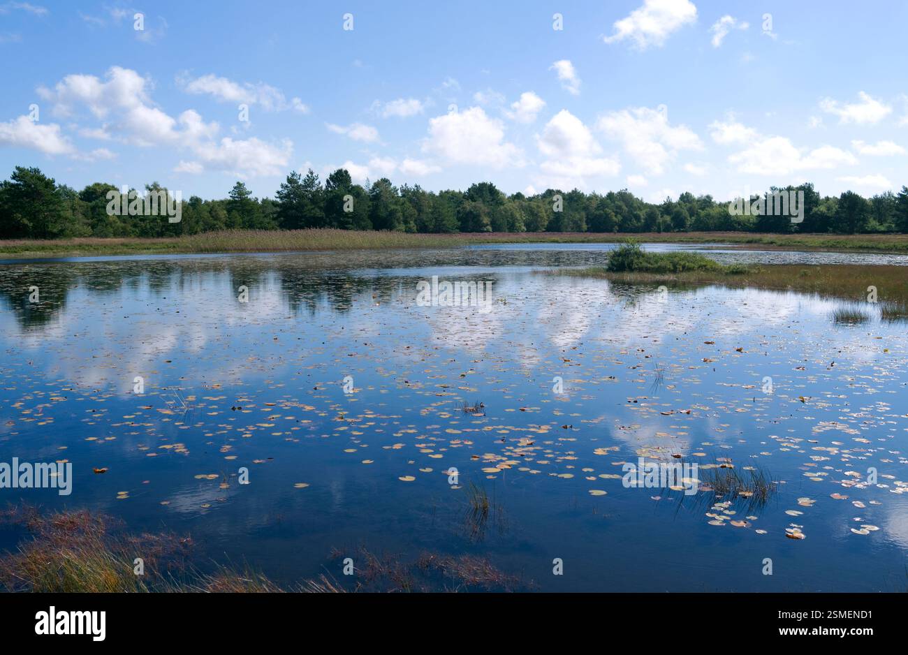 Laesoe, Denmark: View over Kaerene moorland with Birkemose moor lake ...