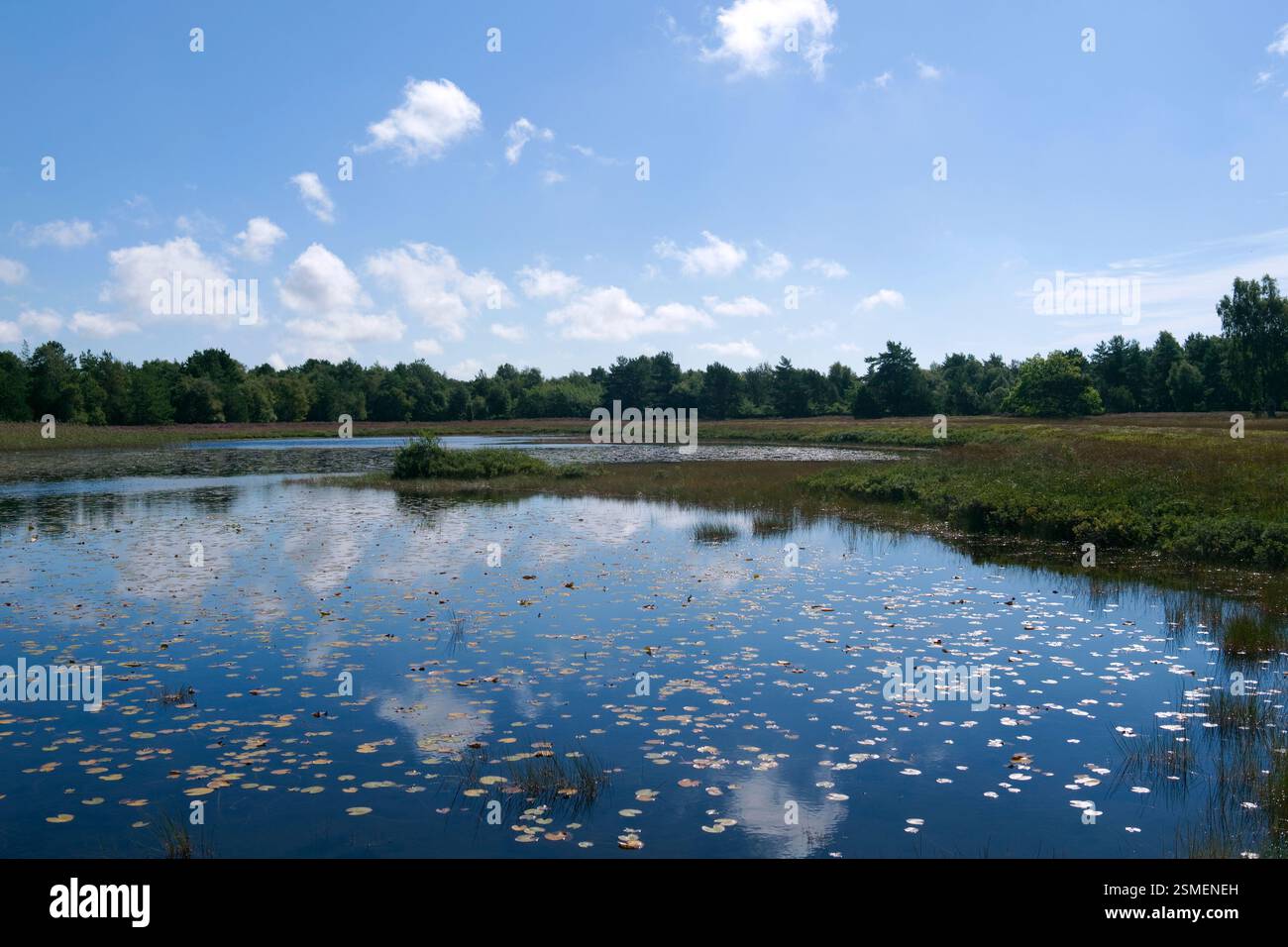 Laesoe, Denmark: View over Kaerene moorland with Birkemose moor lake ...