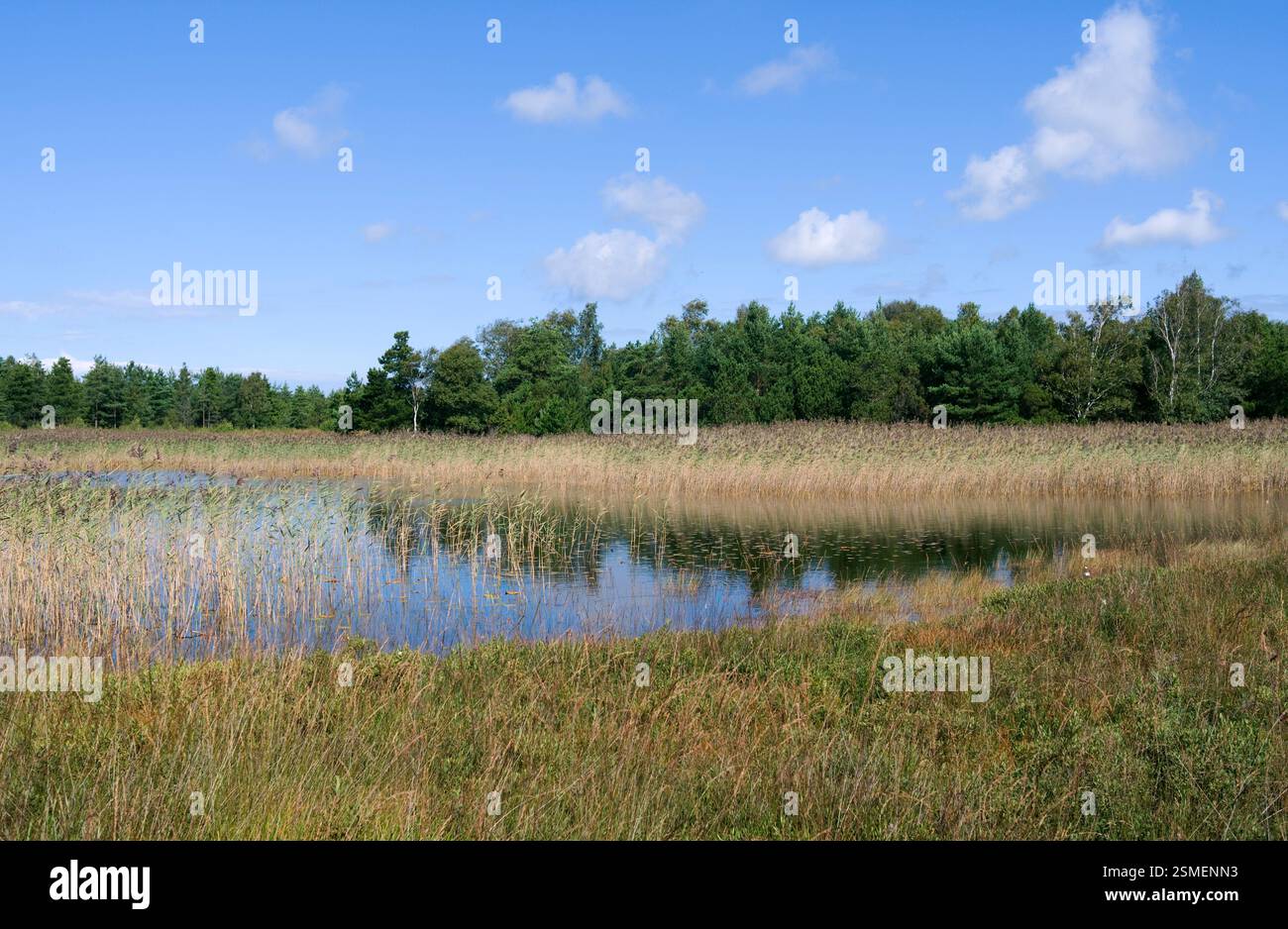 Laesoe, Denmark: View over Kaerene moorland with the romantic Birkemose ...