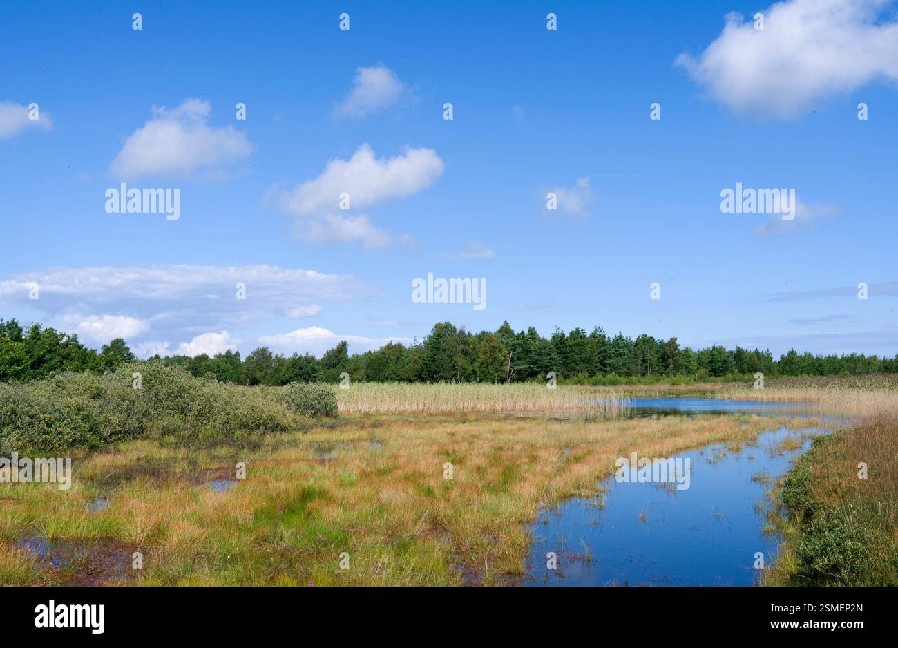 Laesoe, Denmark: Kaerene moorland with Birkemose moor lake Stock Photo ...