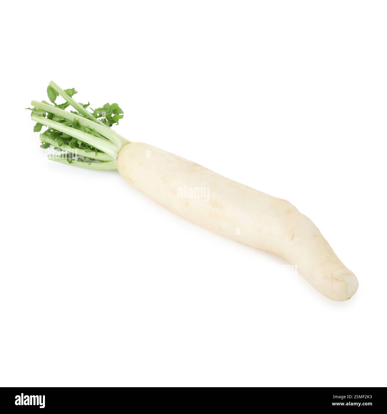 Whole fresh turnip isolated on white. Vegetable root Stock Photo - Alamy