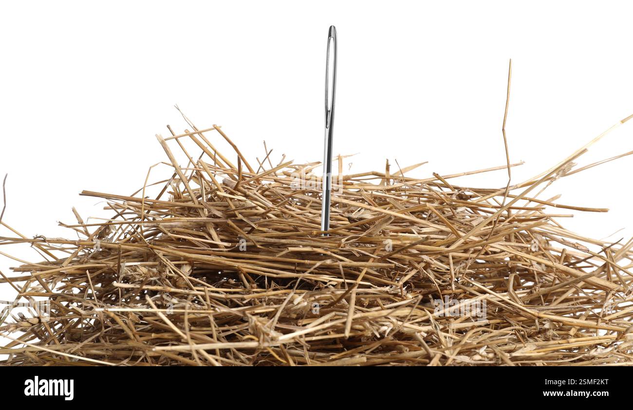 Sewing needle in haystack on white background Stock Photo - Alamy