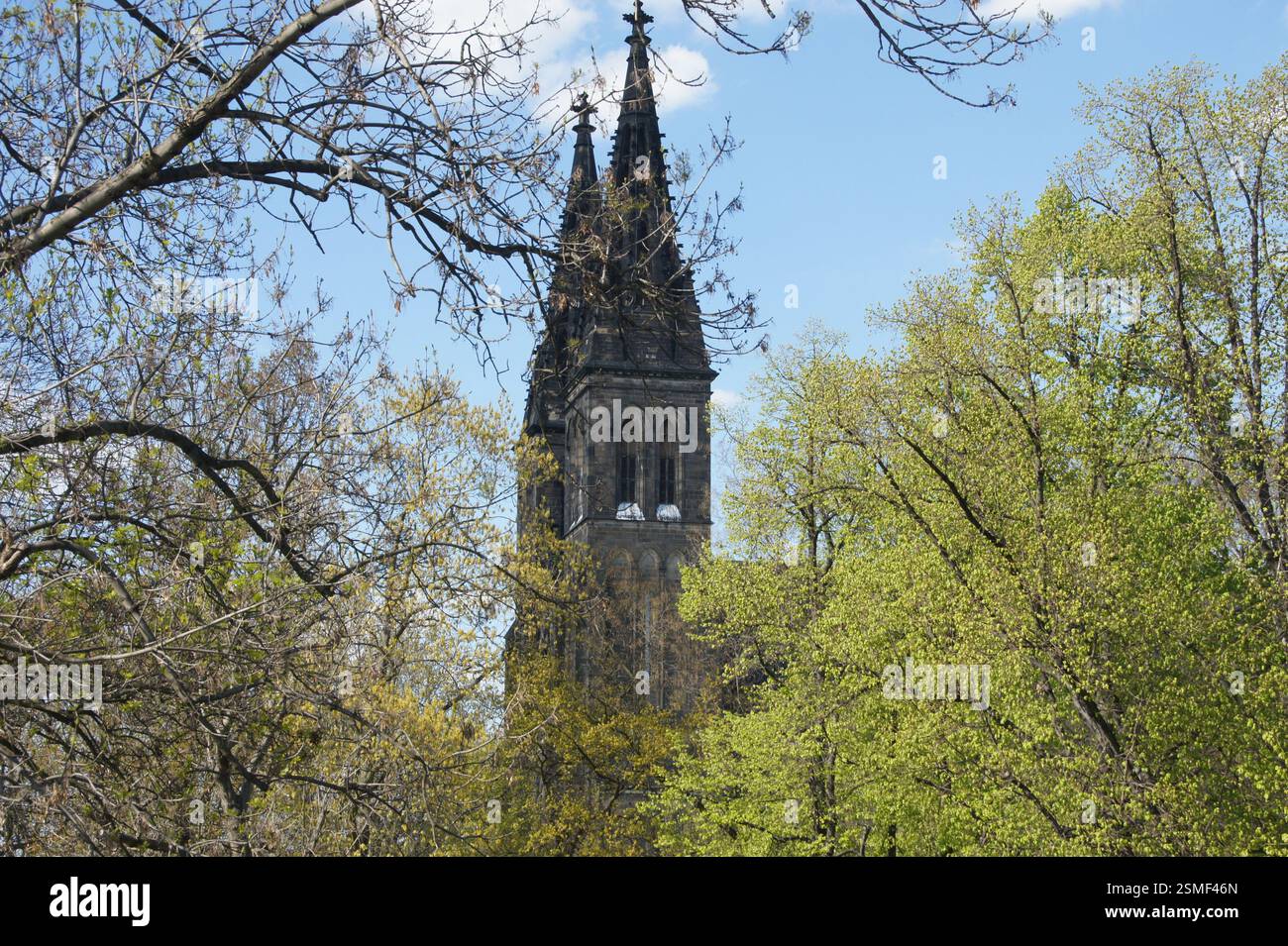 Church spires framed by trees, Gothic architecture with intricate ...