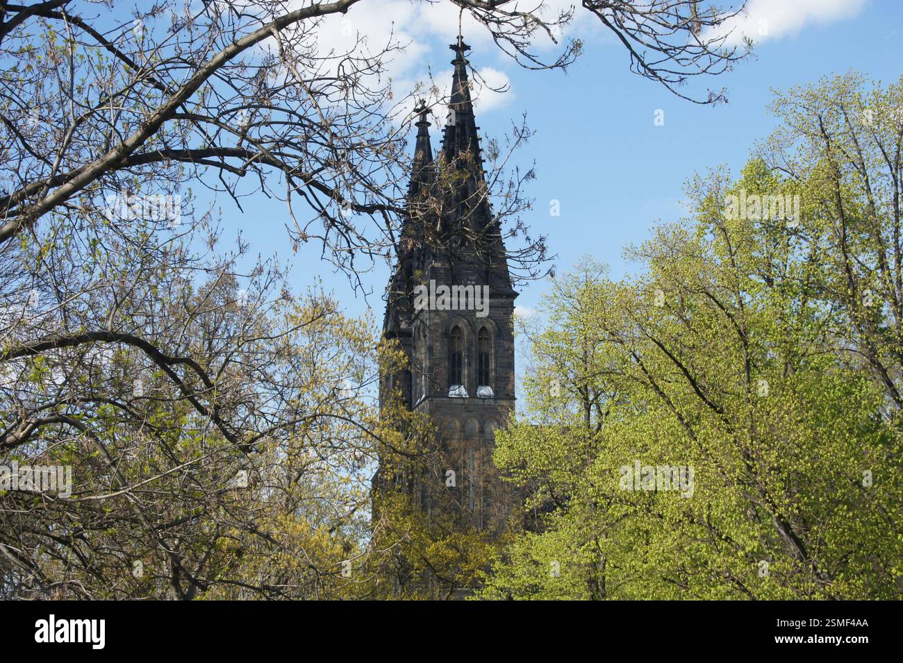 Church spires pierce through leafy canopy. Gothic architecture soars ...