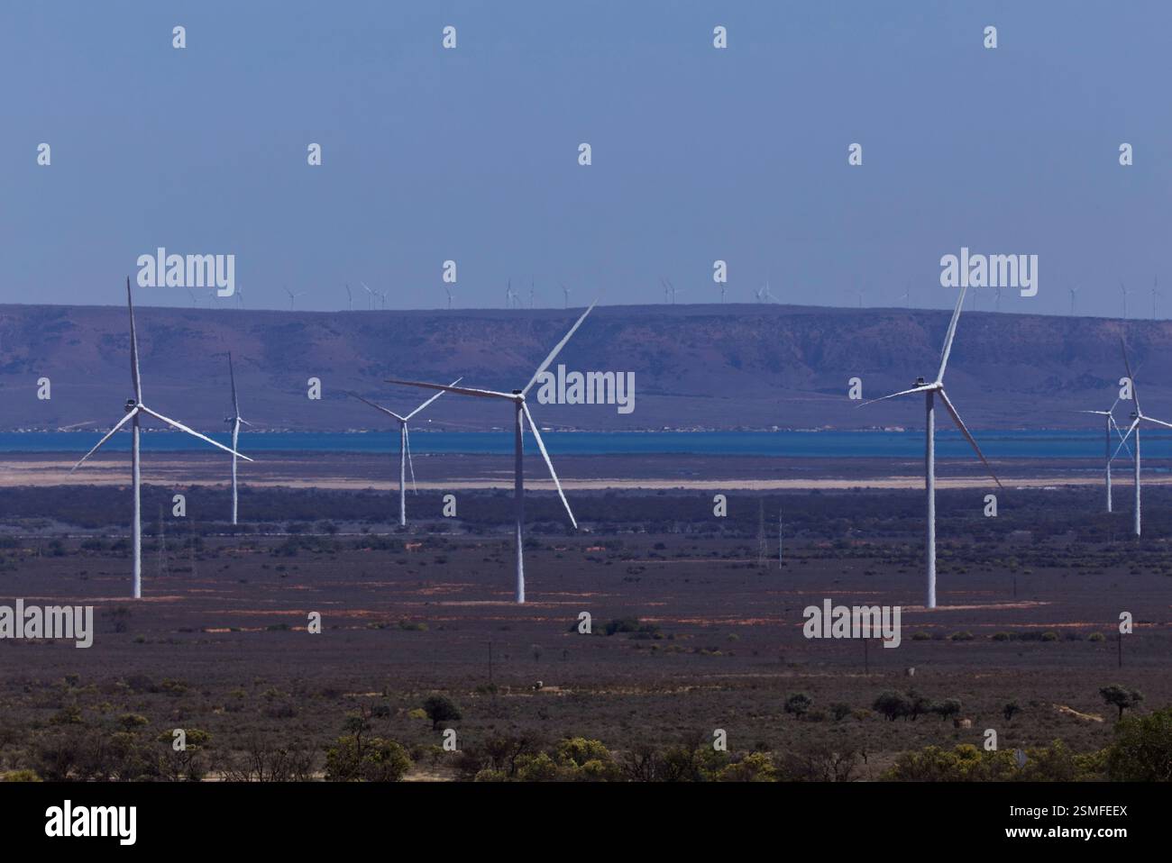 The wind turbines of the Port Augusta Renewable Energy Park in South ...