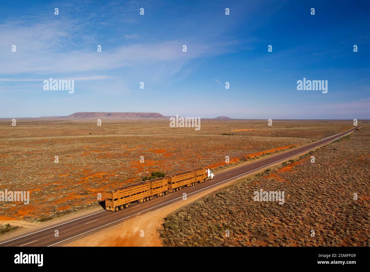 Aerial of heavy haulage 4 trailer livestock cattle Road Train on the ...