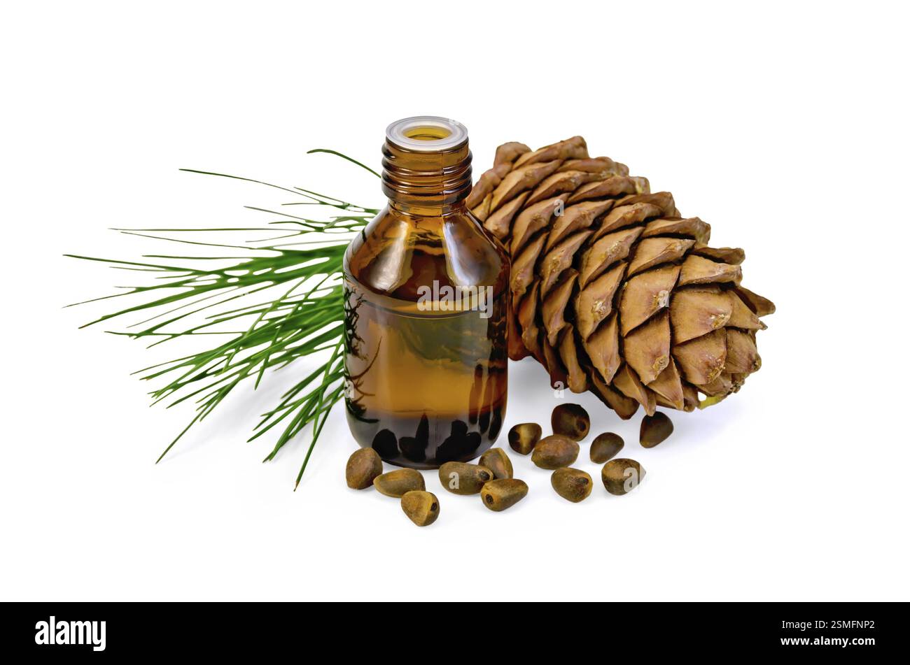 Cedar oil in a bottle, cedar cone, cedar nuts isolated on white ...