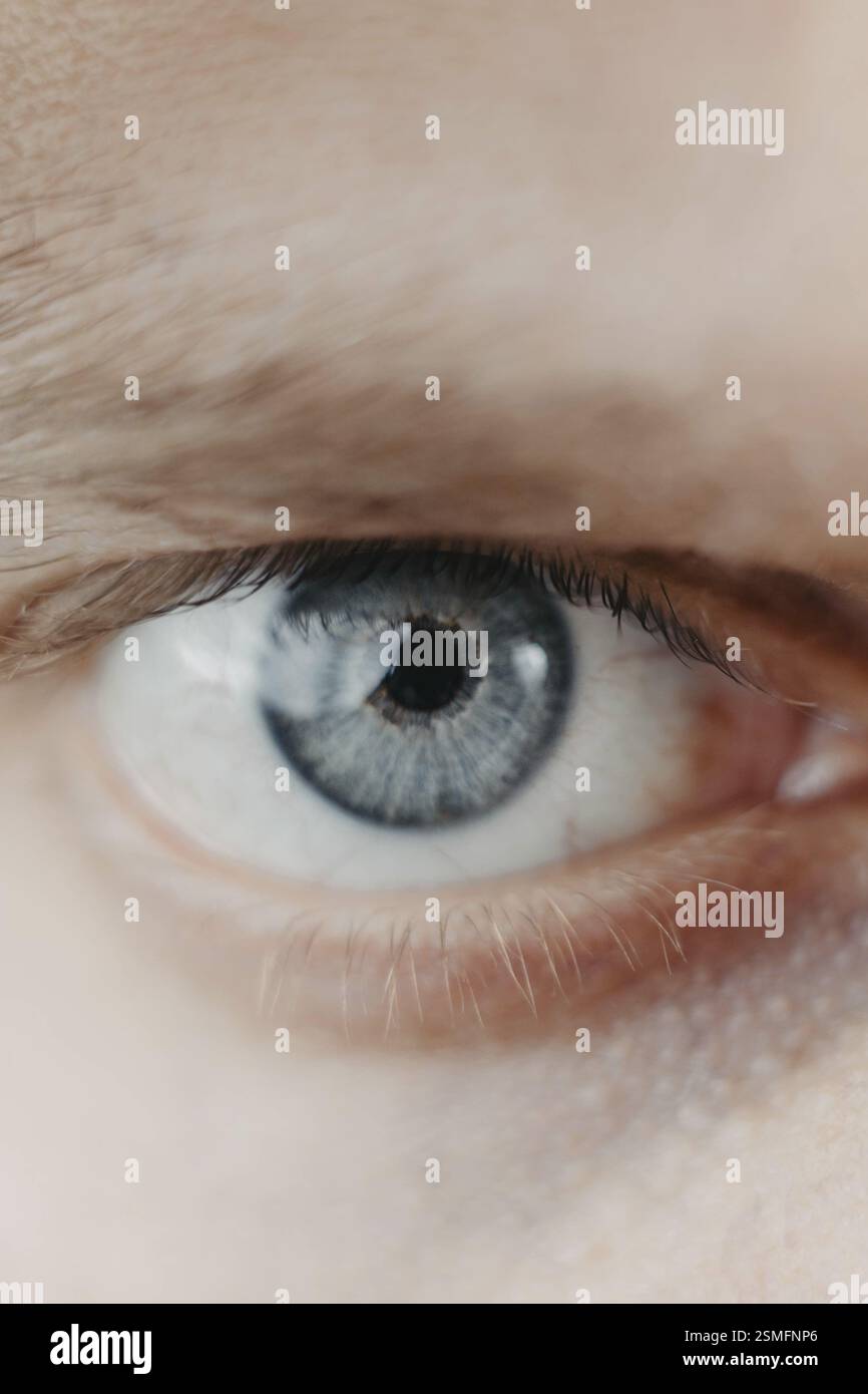 Extreme close-up of a blue eye showing detailed features of iris and ...