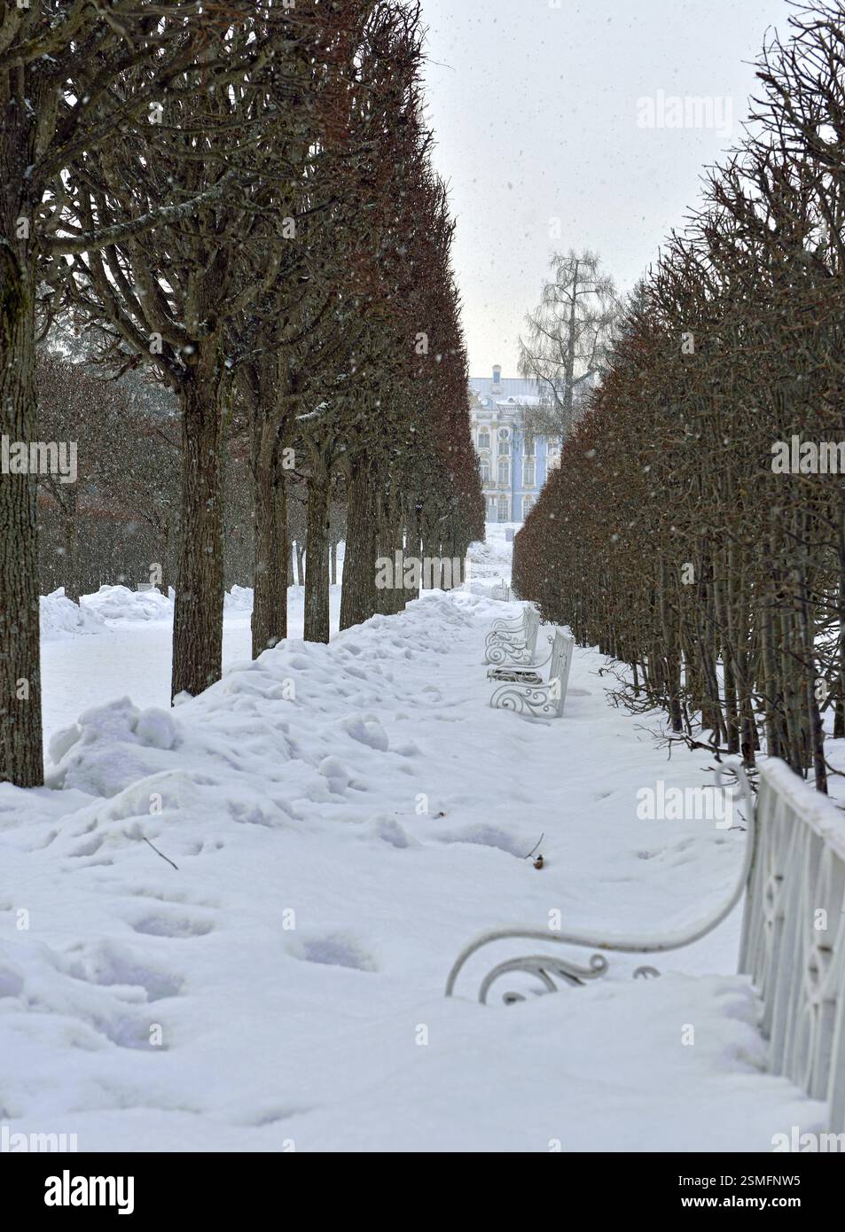 Winter landscape of the Pushkin town, Russia. View to the Catherine ...