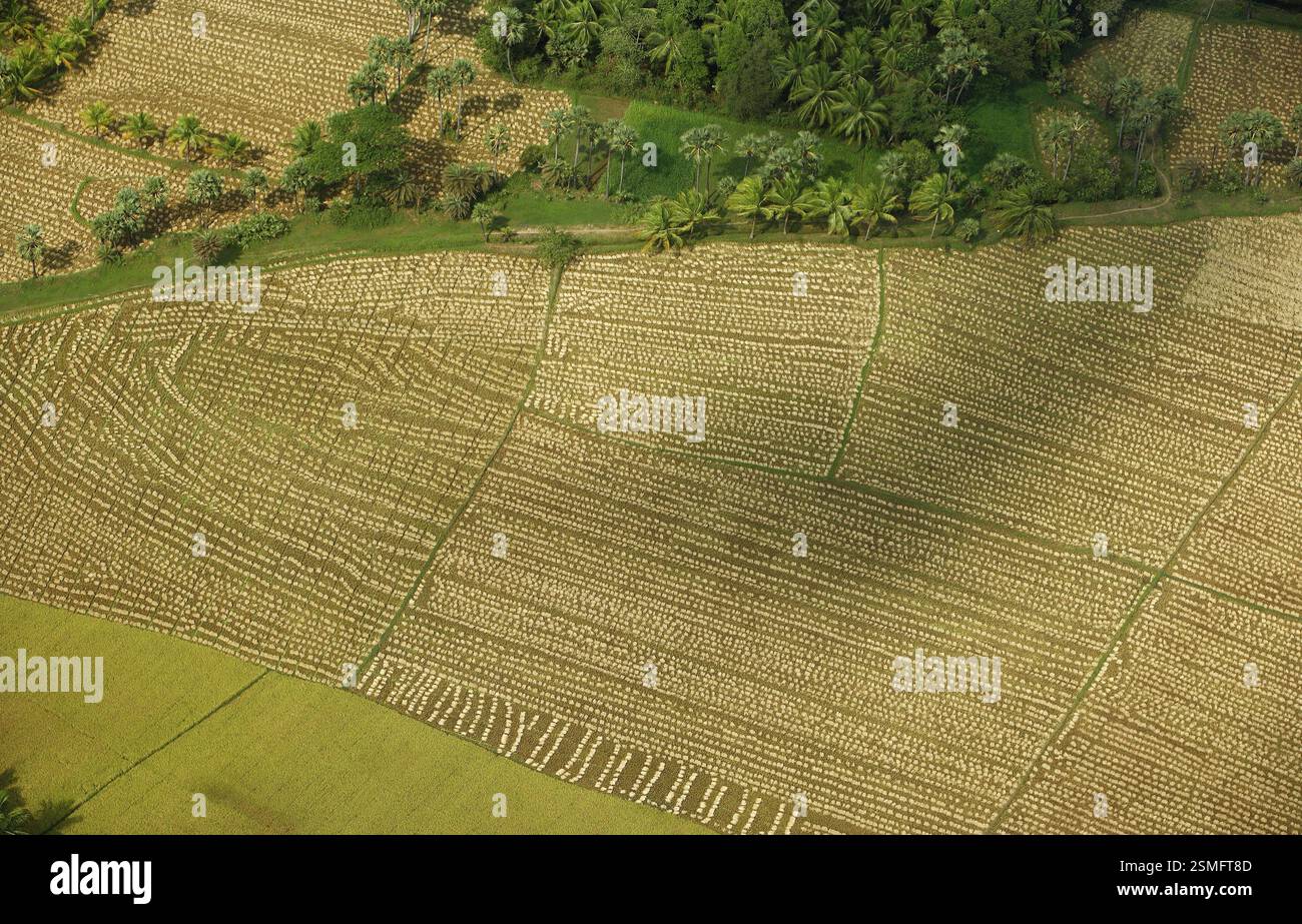 Aerial view of tilled field, Andhra Pradesh, India, Asia Stock Photo ...