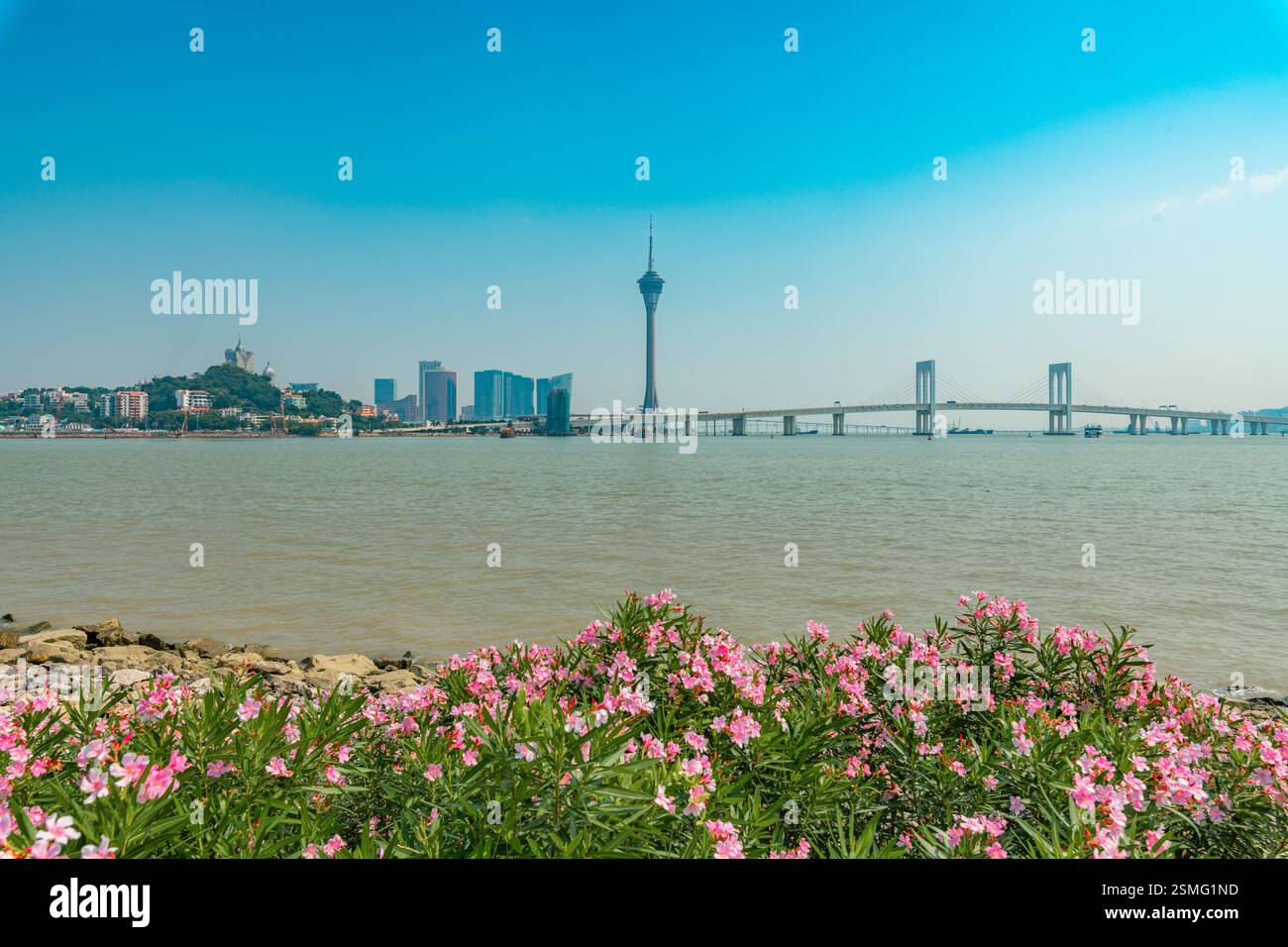 Macau Tower and Friendship Bridge, China Stock Photo - Alamy