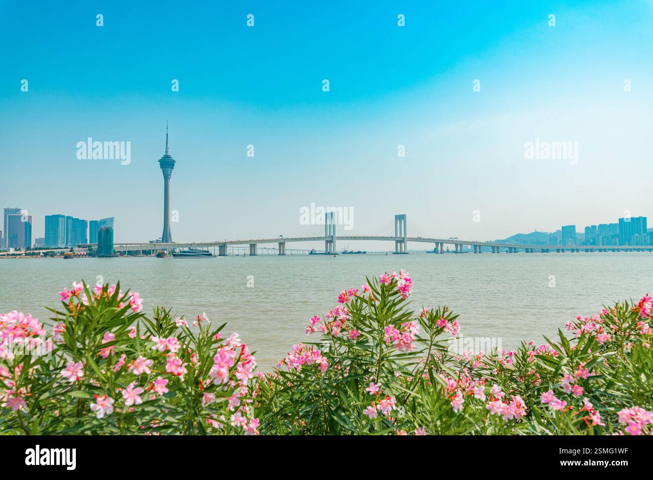Macau Tower and Friendship Bridge, China Stock Photo - Alamy