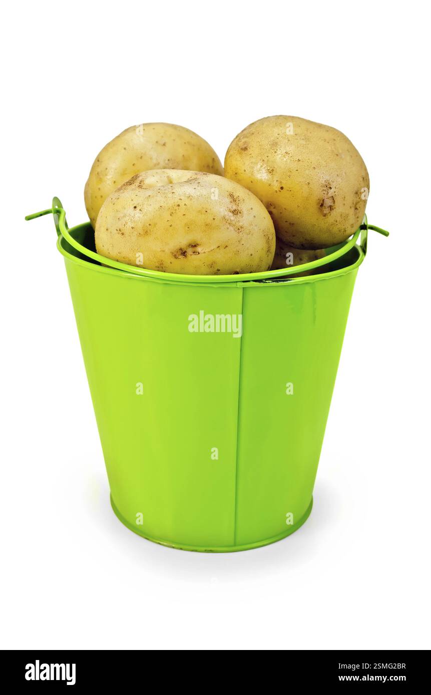 A pile of yellow potatoes in a small green bucket isolated on white ...