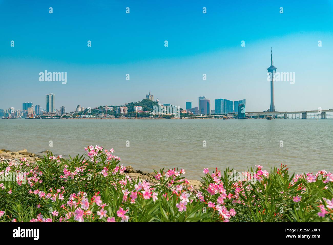 City scenery of Macau Special Administrative Region of China Stock ...