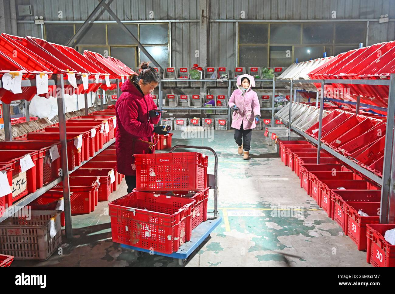 XUZHOU, CHINA - FEBRUARY 13, 2025 - Workers work at the mail processing center of China Post in ...