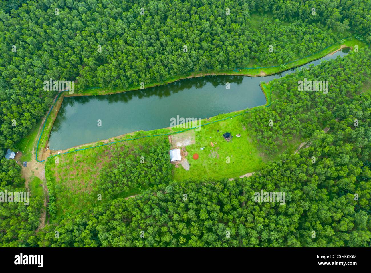 A breathtaking aerial view of Madhupur Forest in Tangail, Bangladesh ...