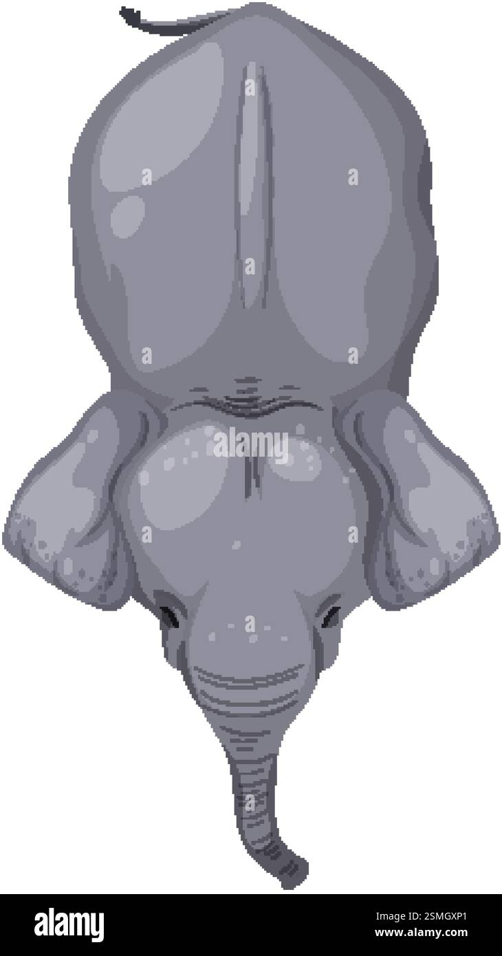 Aerial perspective of a gray elephant vector art Stock Vector Image ...