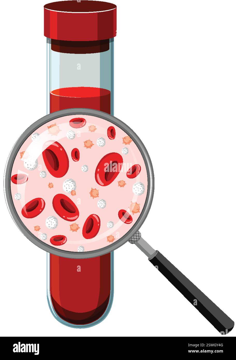 Magnified view of blood cells in a test tube Stock Vector Image & Art ...