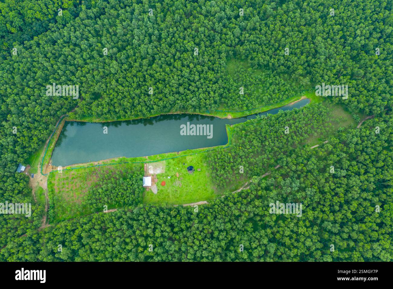 A breathtaking aerial view of Madhupur Forest in Tangail, Bangladesh ...