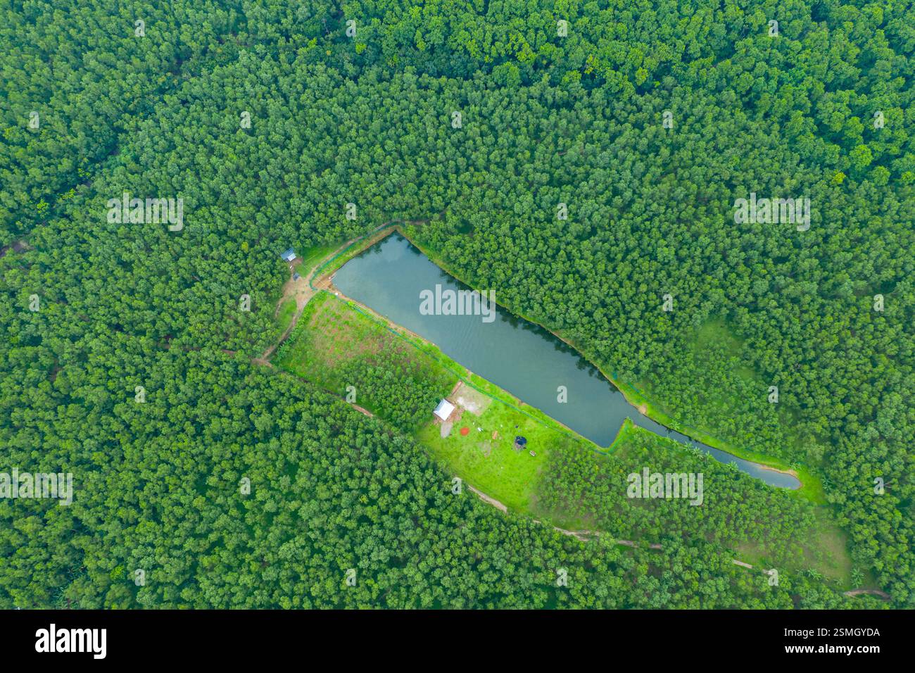 A breathtaking aerial view of Madhupur Forest in Tangail, Bangladesh ...