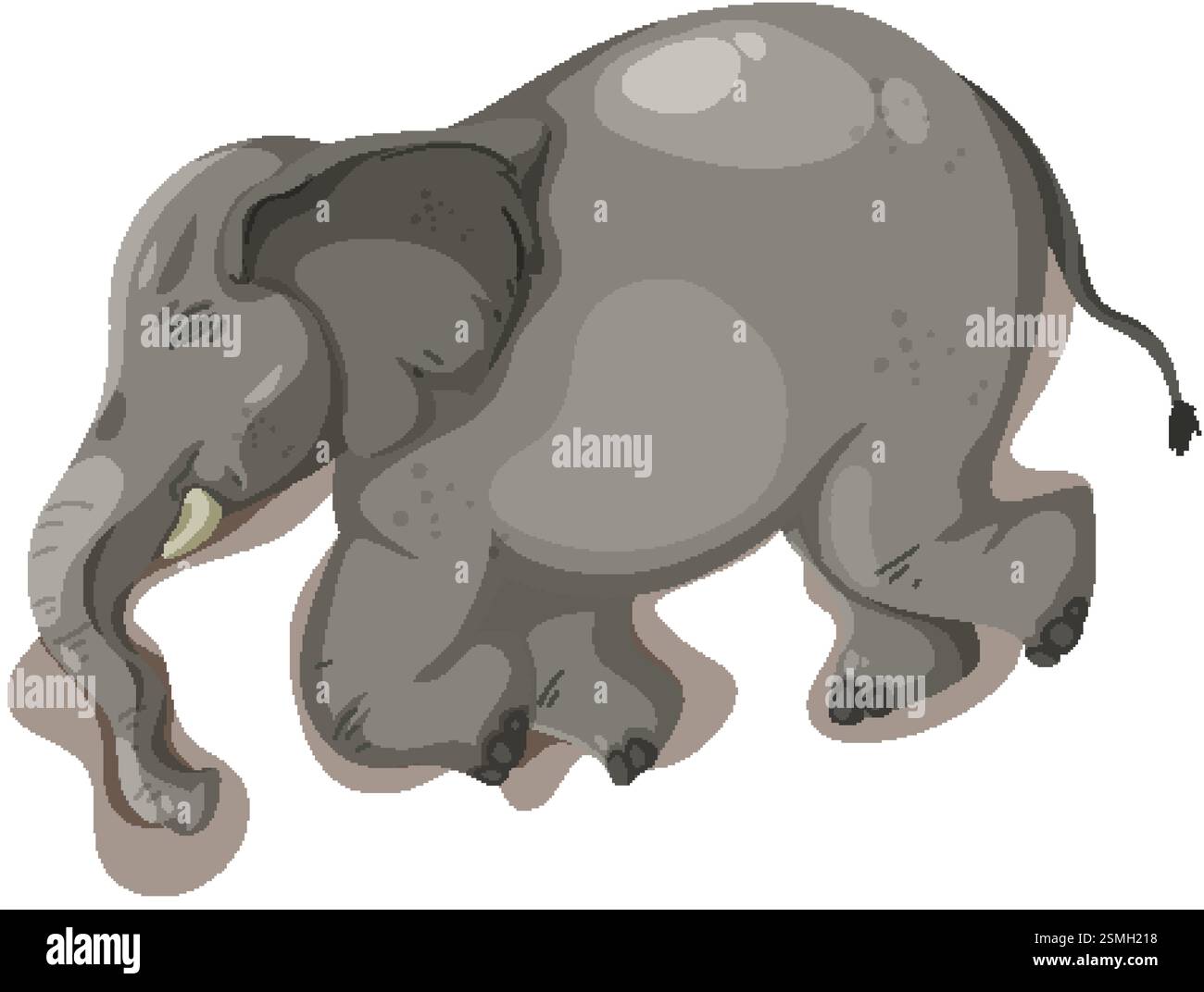 Vector art of an elephant from above Stock Vector Image & Art - Alamy