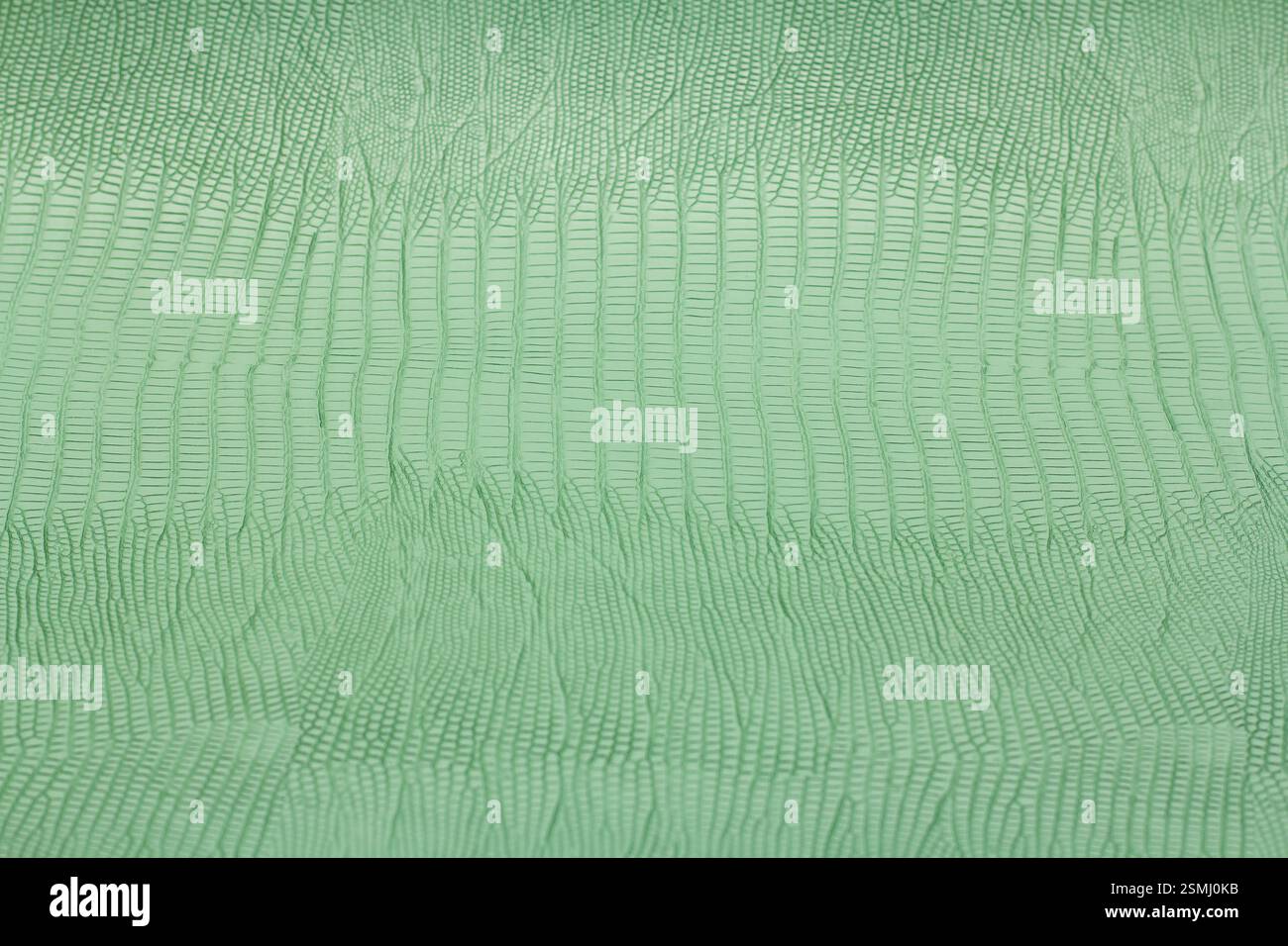 Beautiful green snake skin, reptile skin texture, close-up of snake ...