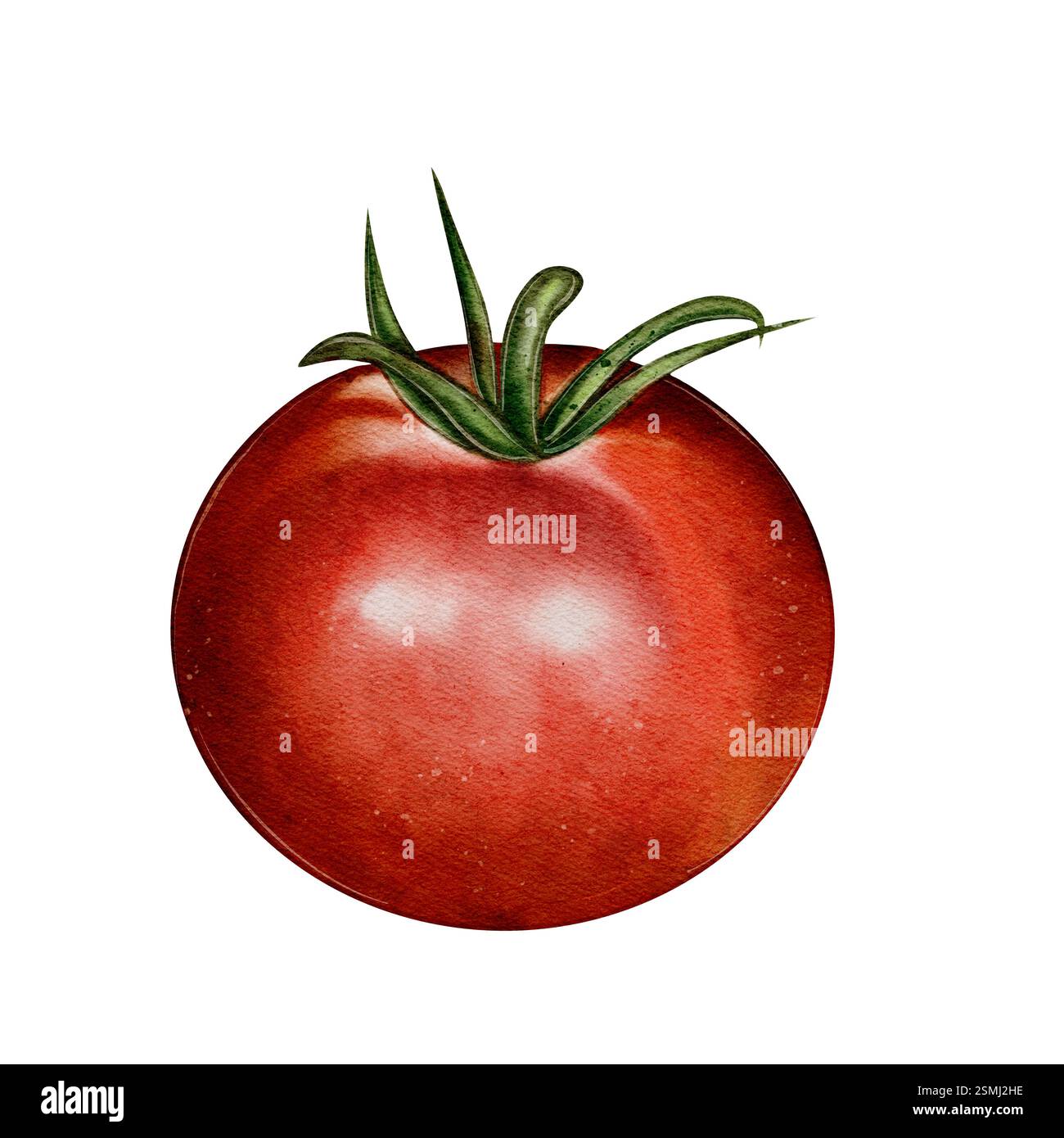 Detailed highlights Cut Out Stock Images & Pictures - Alamy